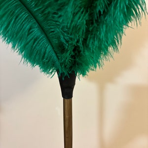 Special Display Emerald, Green First Grade Ostrich Feather Display ...