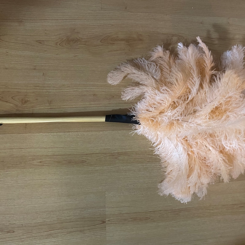 Feather Tickler - Etsy