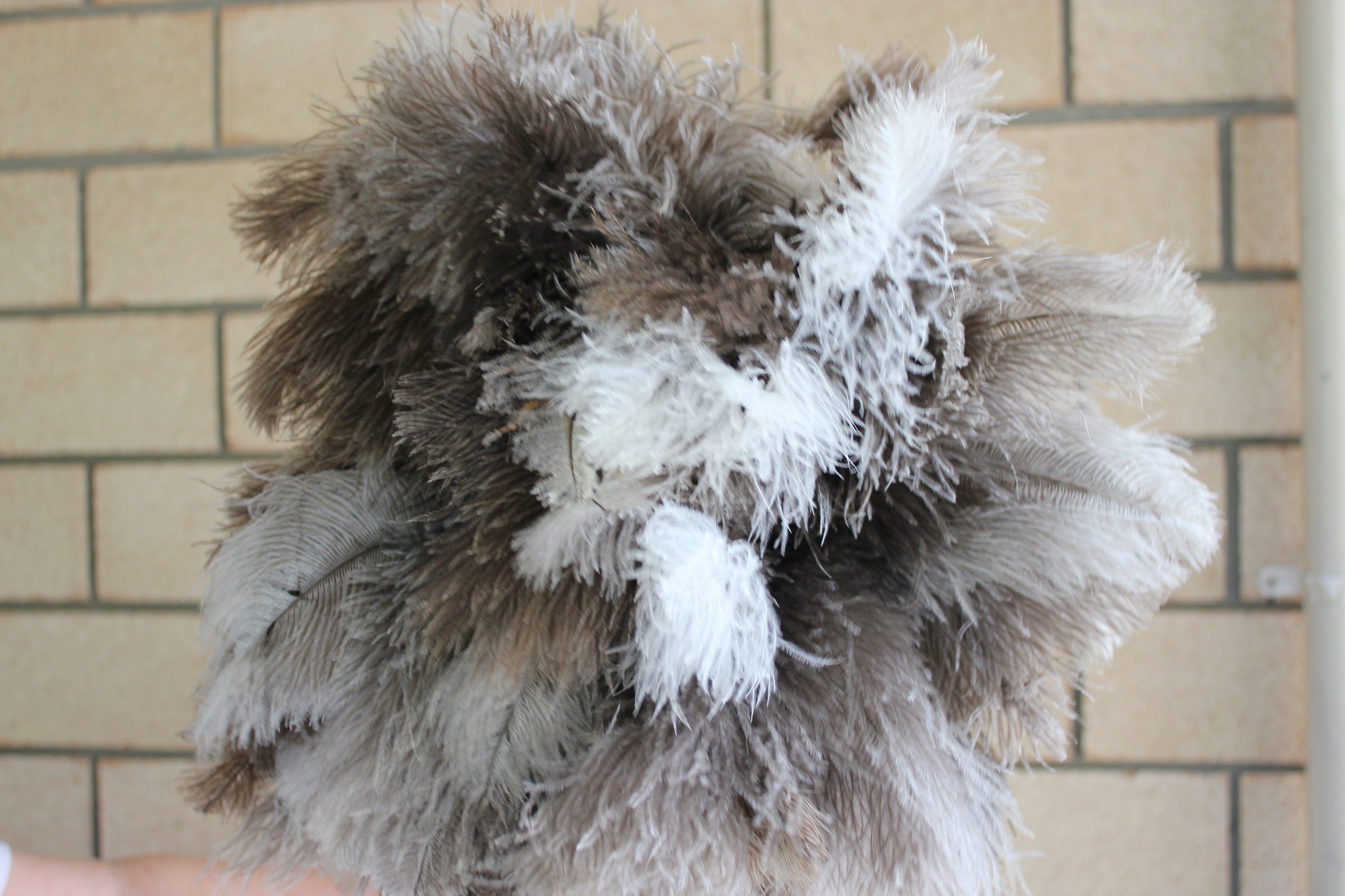 Extra Large Soft Full Head Ostrich Feather Duster Clear Gloss Wood ...