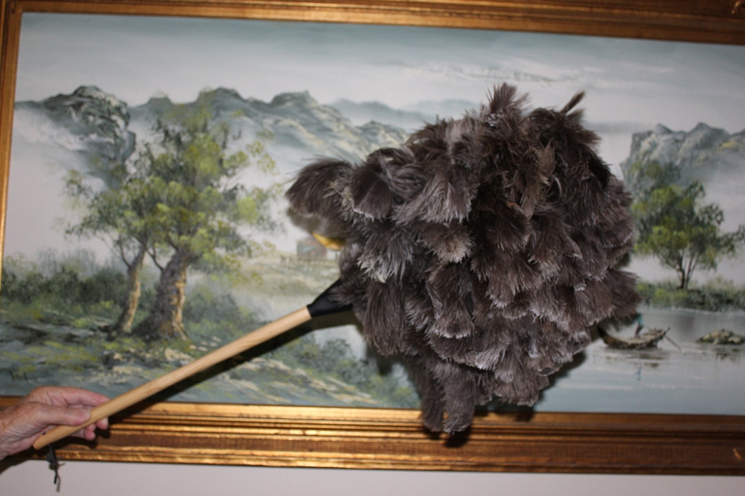 New Design Model Car Cleaning Ostrich Feather Duster With 100 Grm ...