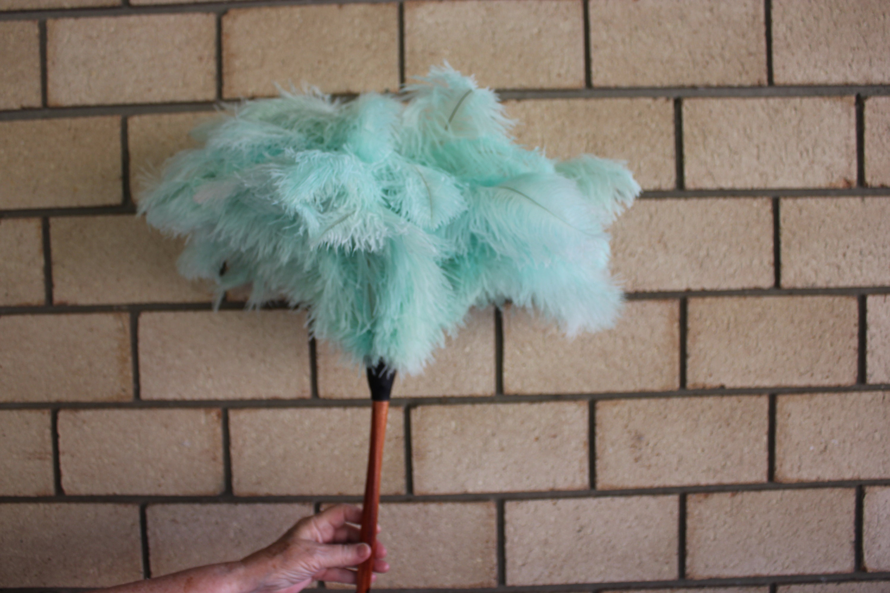 New MINT Colour Ostrich Feather Display Duster First Grade - Etsy