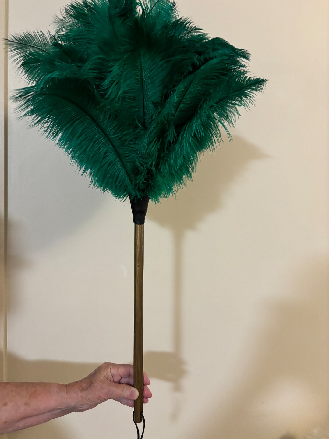 Special Display Emerald, Green First Grade Ostrich Feather Display ...