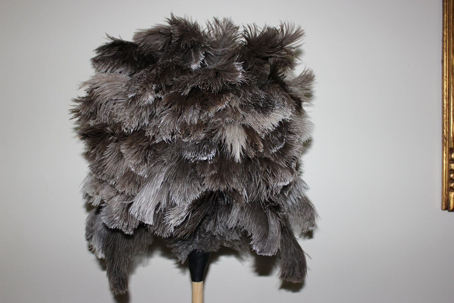 New Design Model Car Cleaning Ostrich Feather Duster With 100 Grm ...