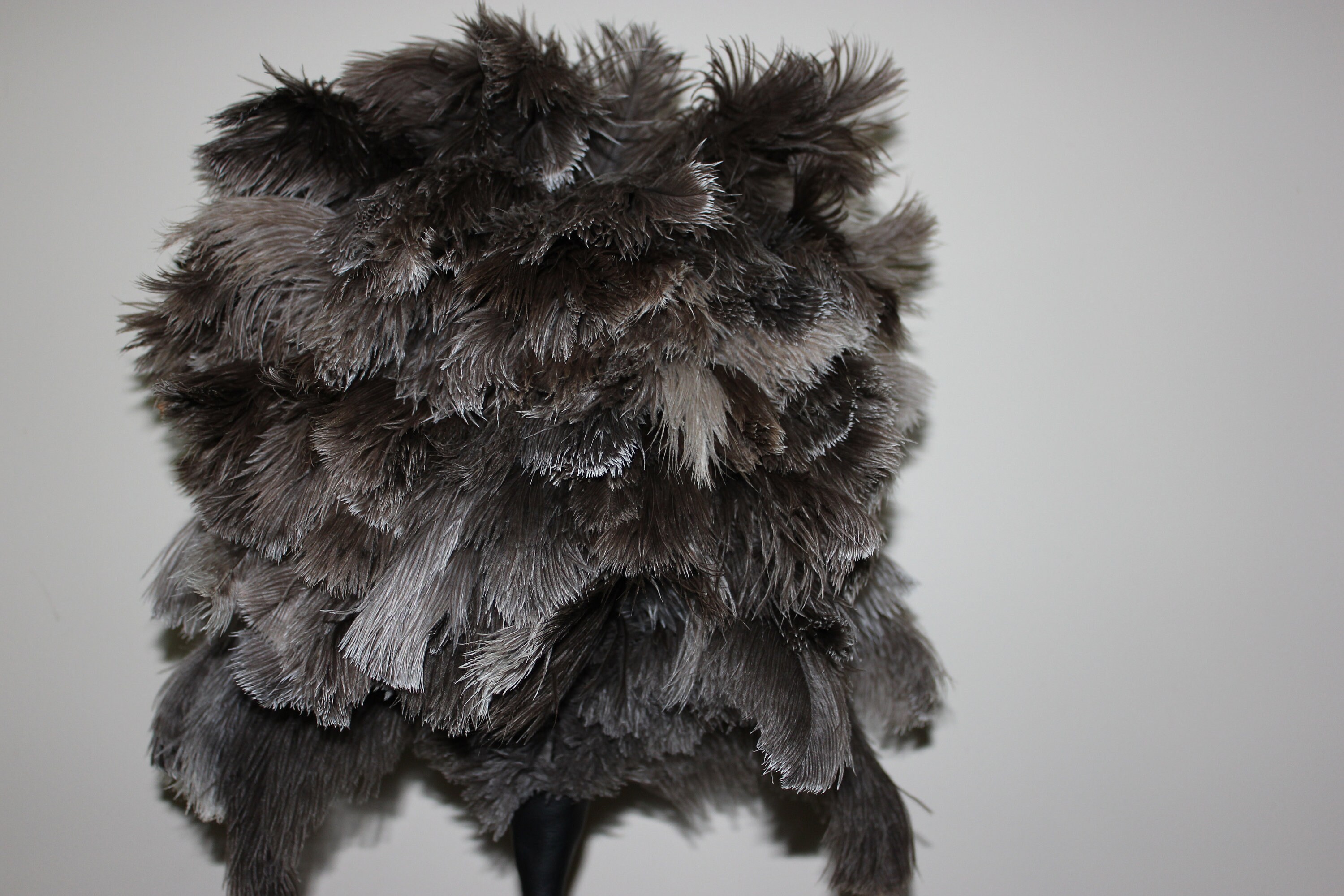 New Design Model Car Cleaning Ostrich Feather Duster With 100 Grm ...