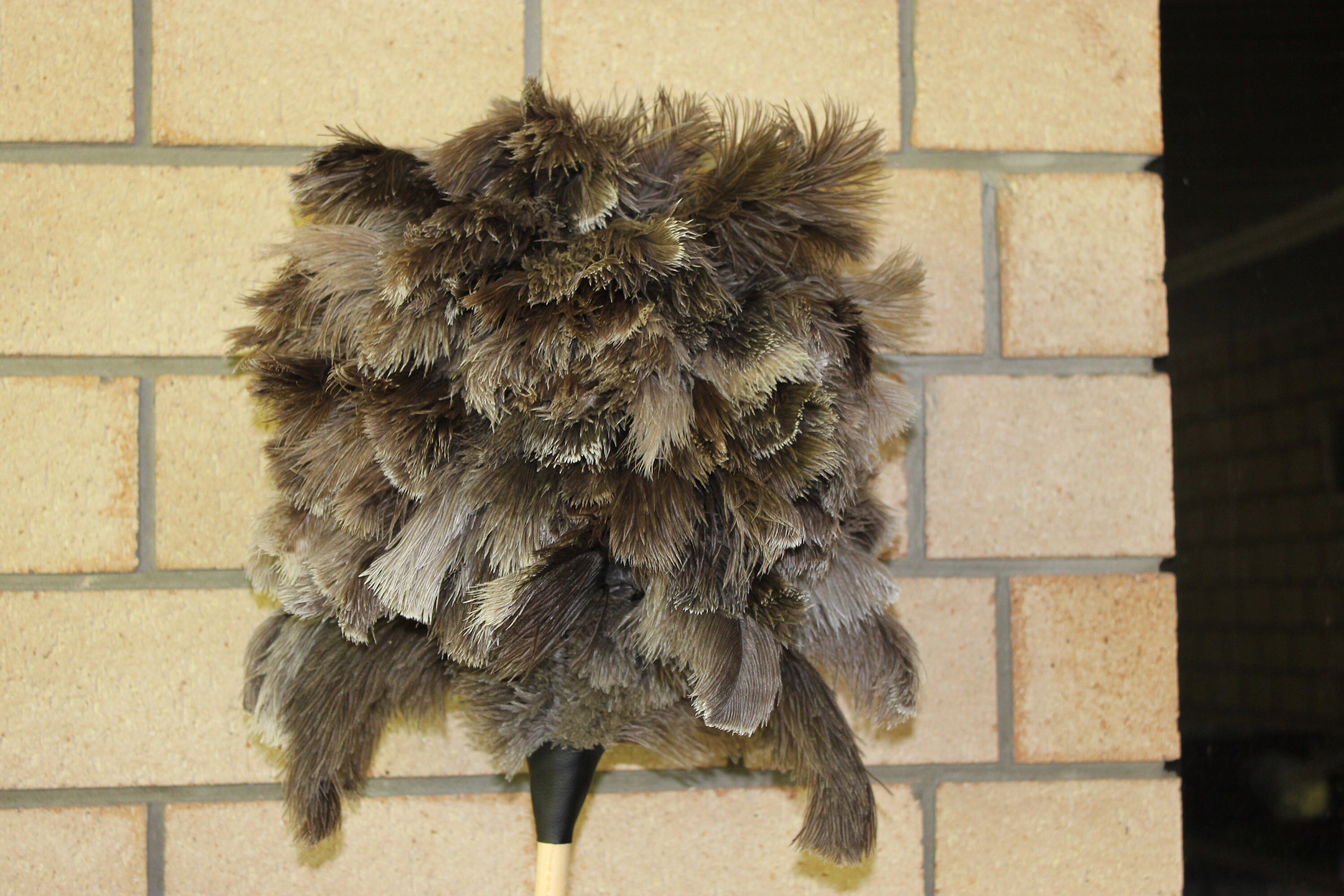 New Design Model Car Cleaning Ostrich Feather Duster With 100 Grm ...