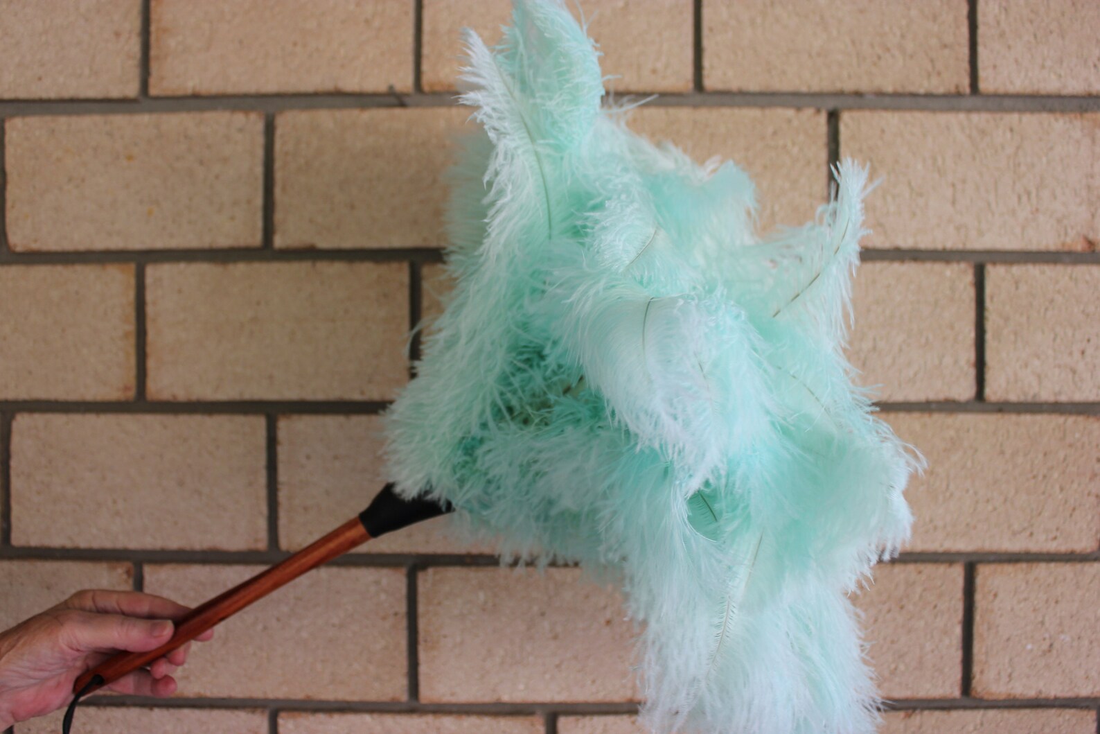New MINT Colour Ostrich Feather Display Duster First Grade - Etsy
