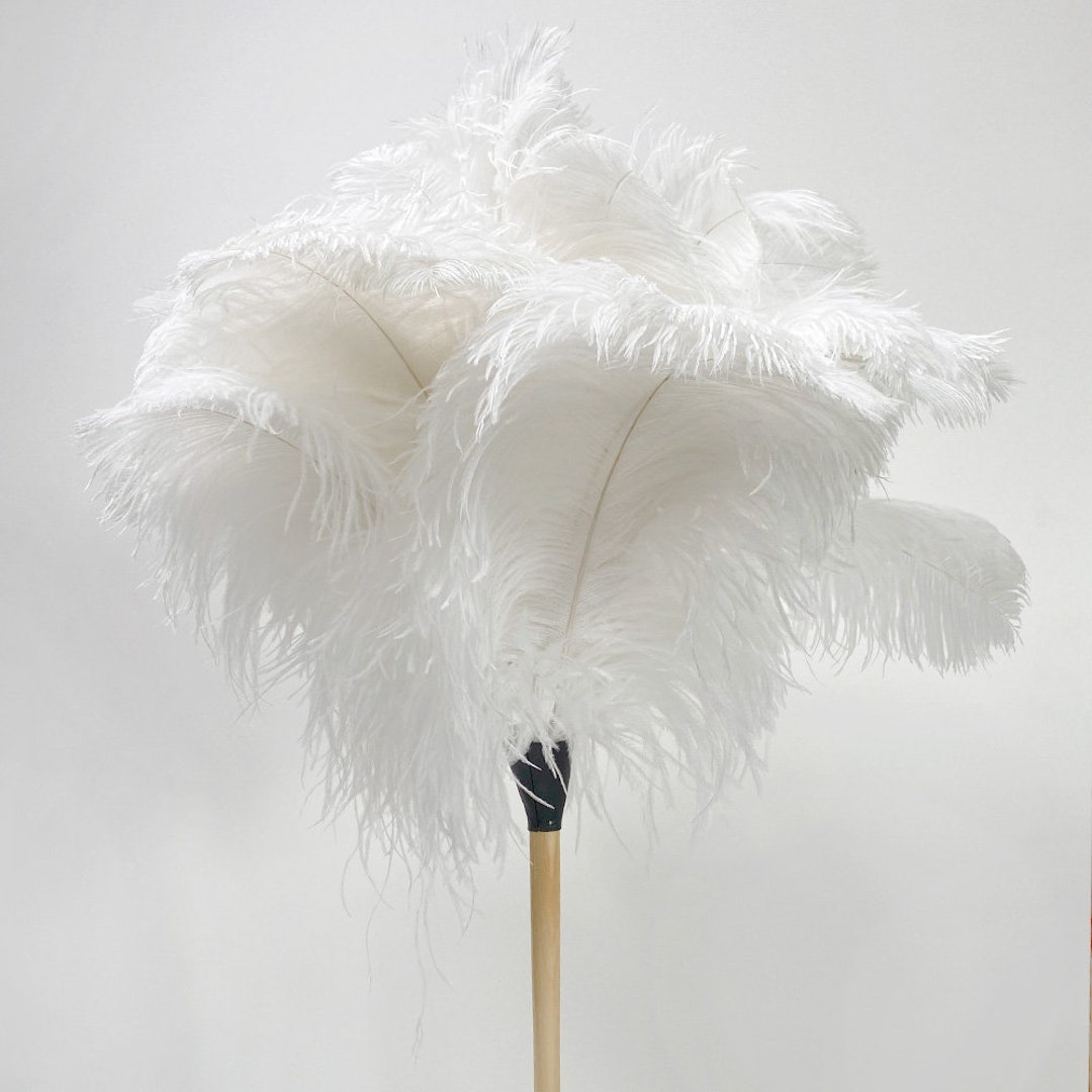 One First Grade Special Ostrich Wing Feather Display Duster 55cm ...