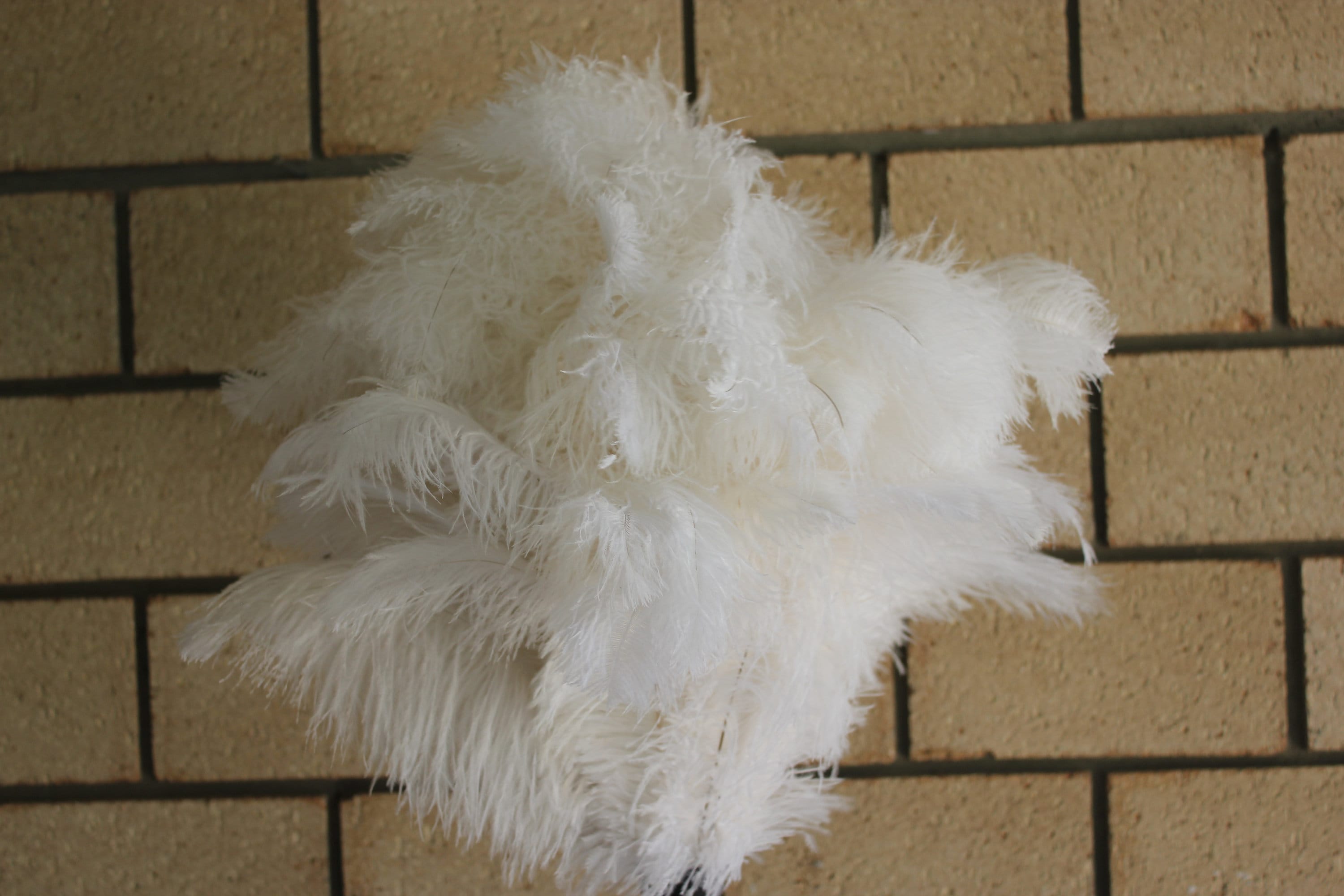 Extra Large Feather Head White Ostrich Feather Display Duster | Etsy
