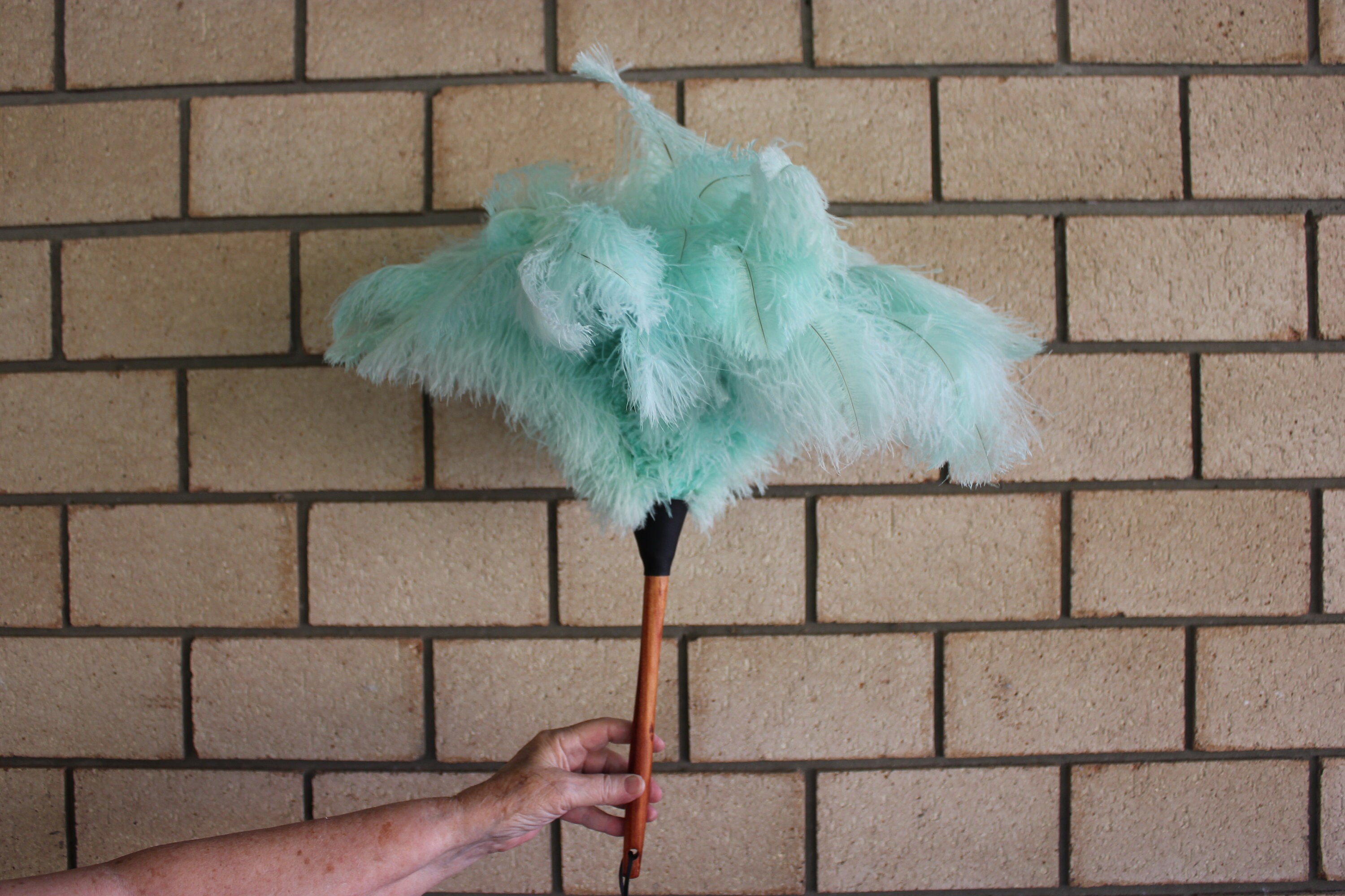New MINT Colour Ostrich Feather Display Duster First Grade - Etsy