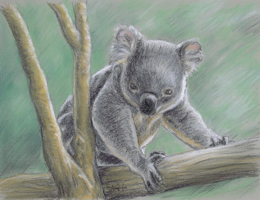 Mischievous Marsupial - Etsy