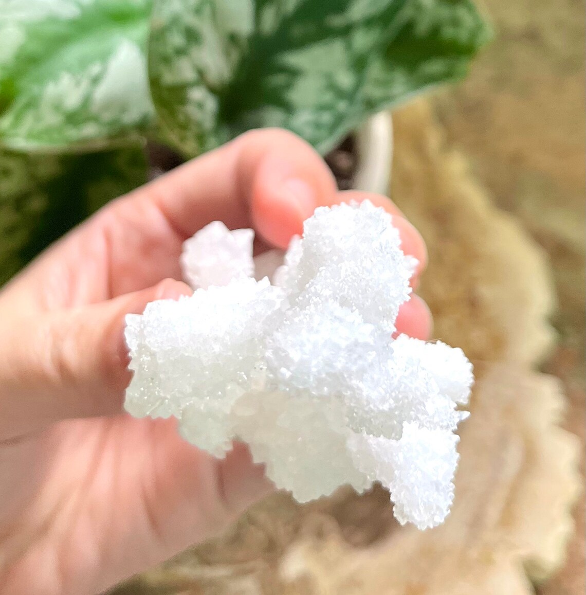 Gorgeous Cave Calcite Aragonite Stalactite Specimen From - Etsy