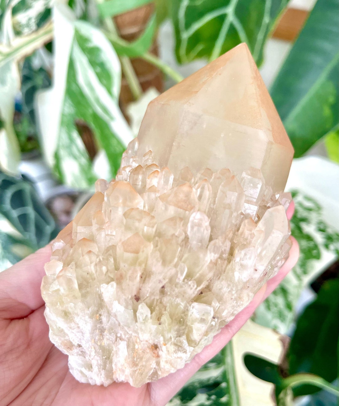 Stunning Large Congo Citrine Point From Congo, Africa, 1 Lb. 4.7 Oz ...