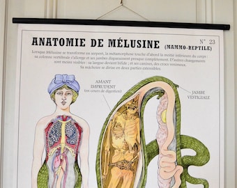 Très Grande Planche Métamorphose de l'Homme-Mouche 80X100 | Etsy
