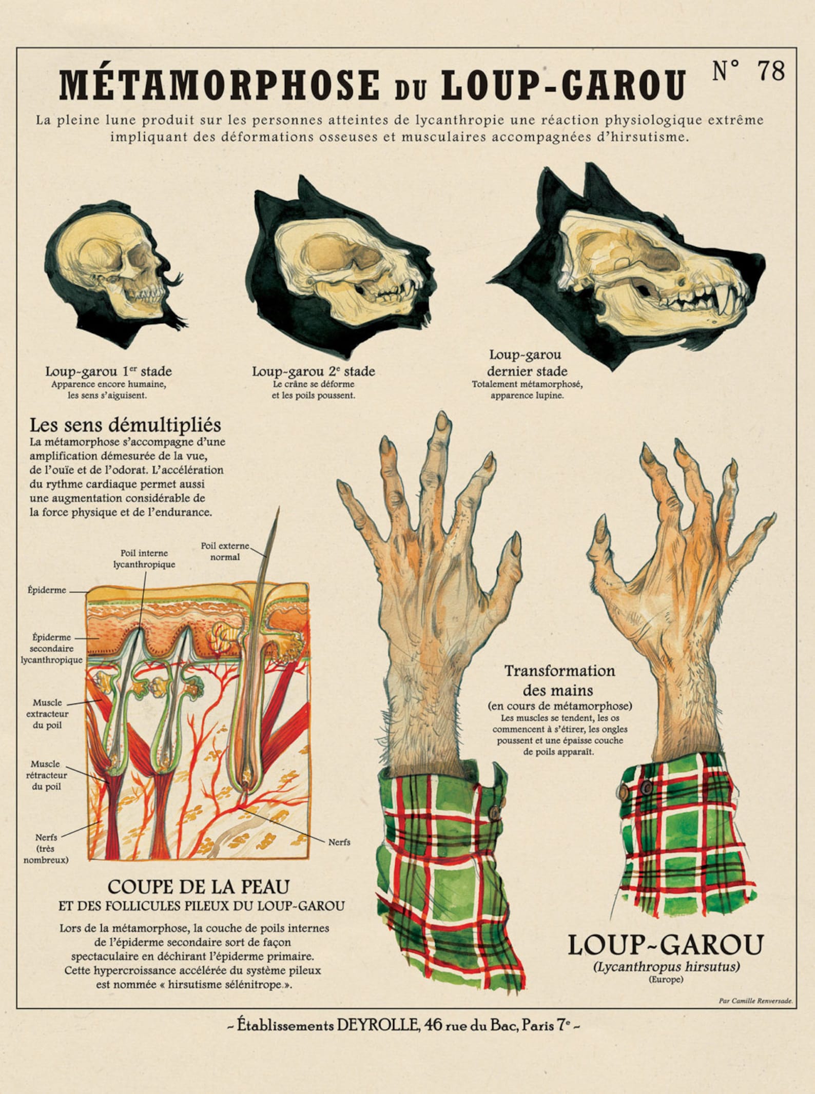 Le Loup-Garou/werewolf print N 78-poster Cabinet of curiosities ...