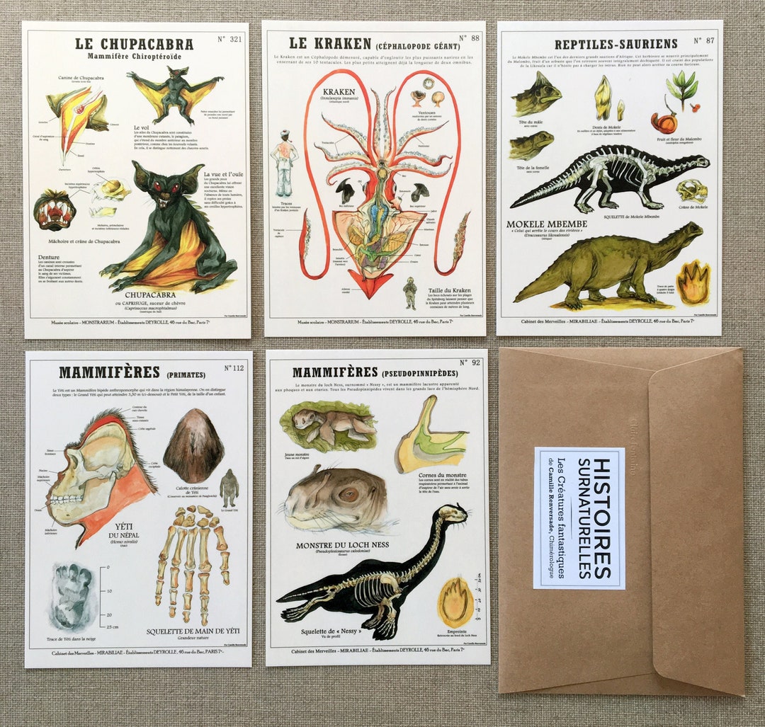 Lot of 5 Postcards "cryptozoological Creatures" - Deyrolle Plates by ...