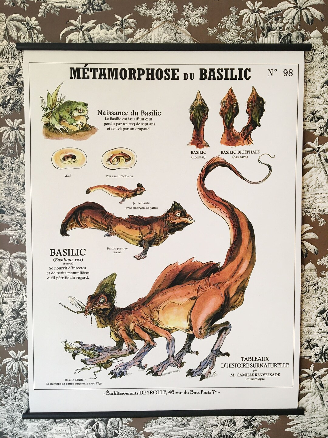 Very Large Plate METAMORPHOSIS OF THE BASIL 80X100 Cm fantastic ...