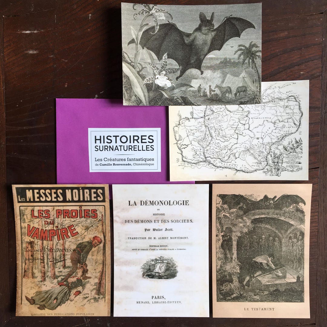 Set of 5 "vampire Bats" Postcards Number 3 - the Stunning Curiosities ...