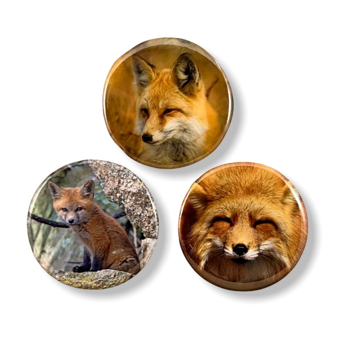 2.25 Inch Fox Magnets Set of 3 for Refrigerator Locker - Etsy
