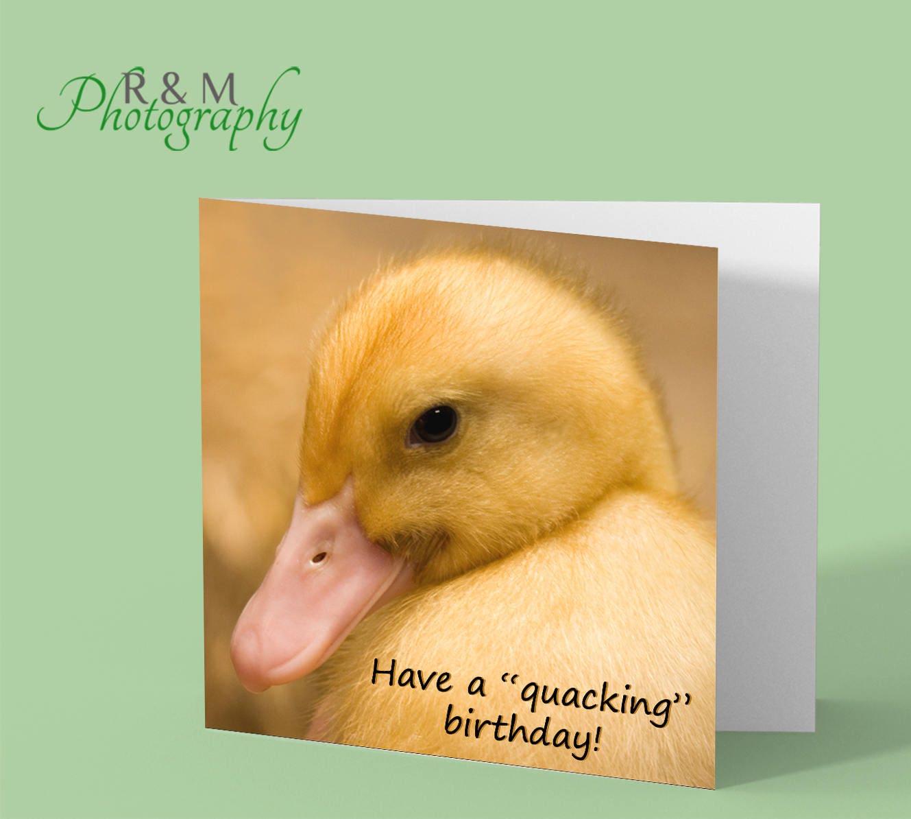 Duck Birthday card quacking duckling birthday funny photo | Etsy