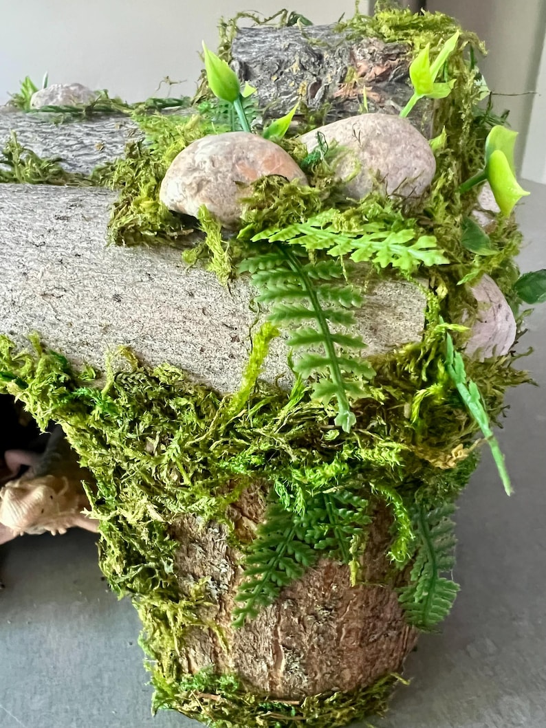 Reptile Hide Fairy House Large - Etsy
