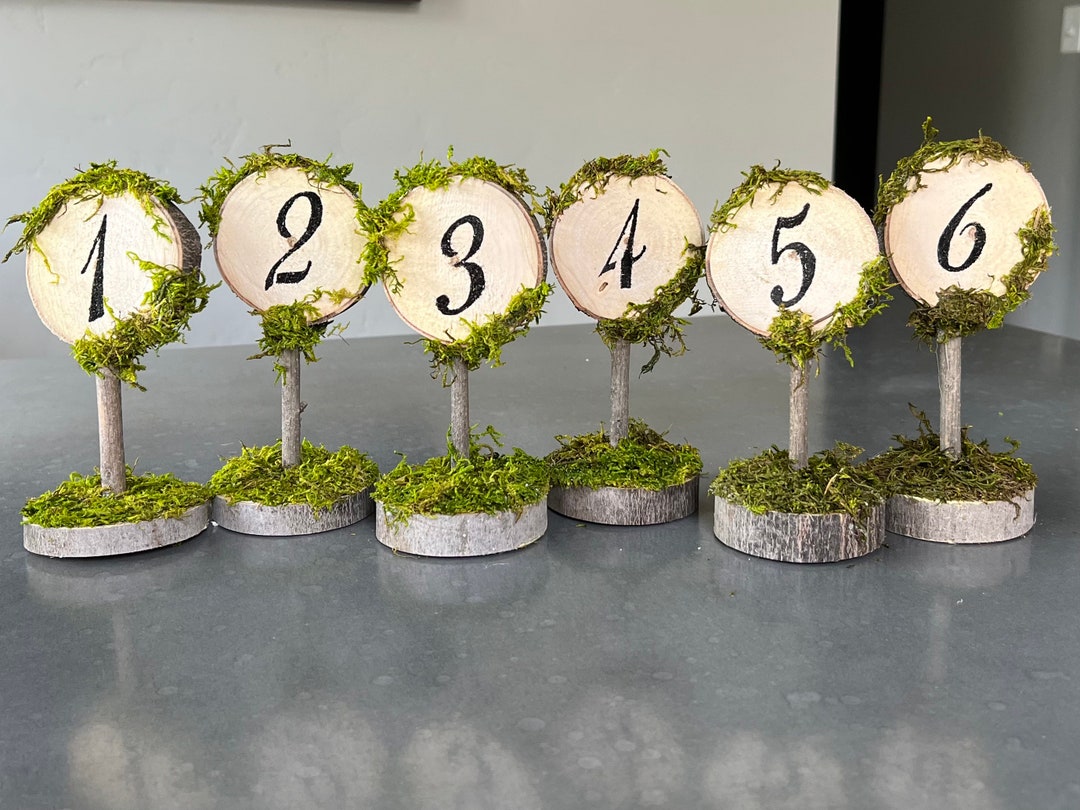 Wood Moss Table Numbers/ Wedding/enchanted Forest/ Birthday/fairy/elvin ...
