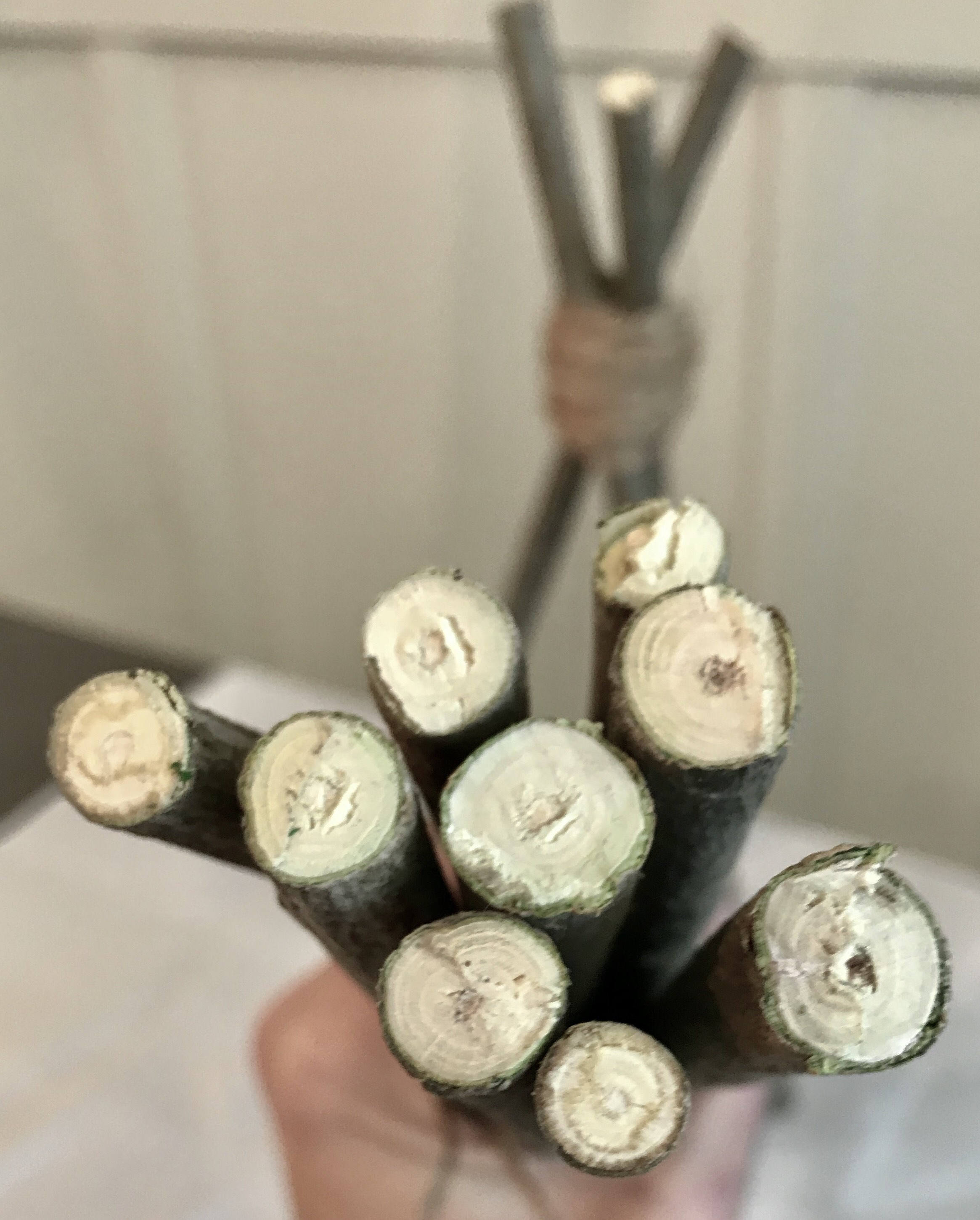 9-12 Stick Bundle for Tee Pee NOT ASSEMBLED arrow | Etsy