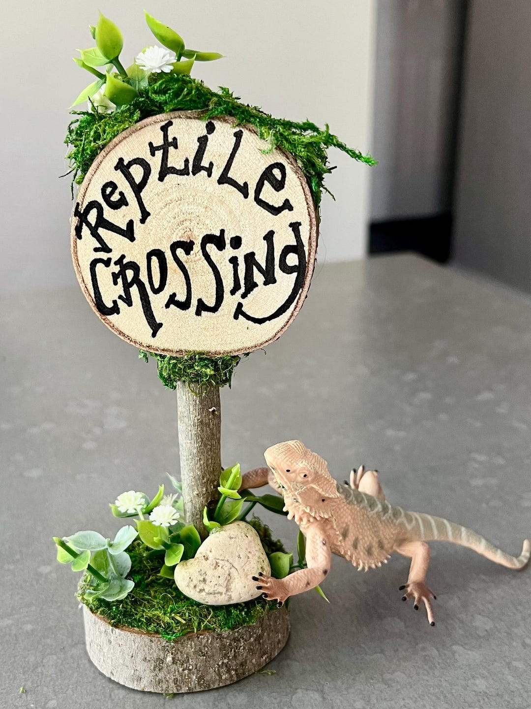 Reptile Signs/ Reptile Den Sign/aquarium Decor/ Lizard House/ Snake ...