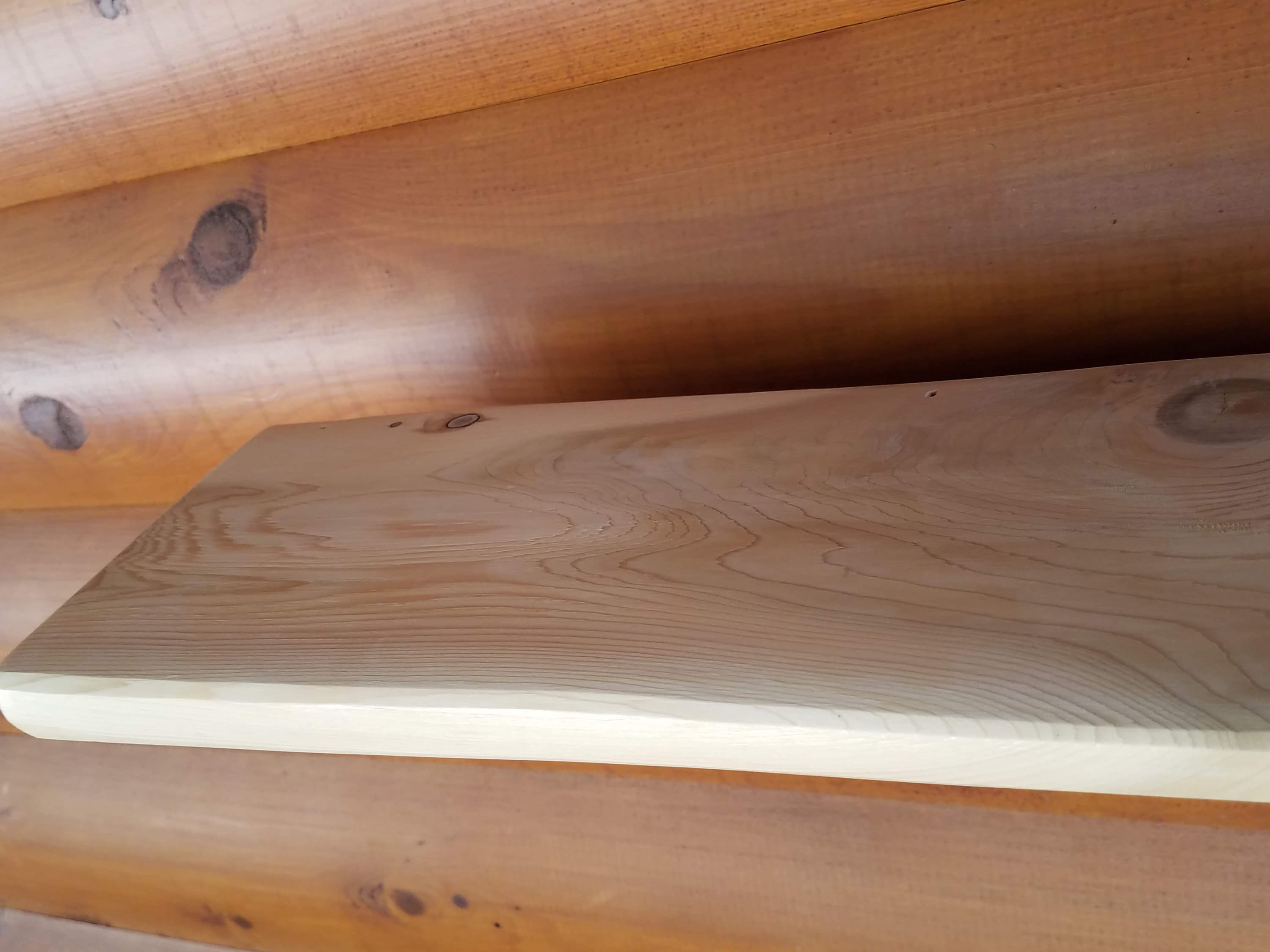 Live Edge Shelf With Worm Tracked Face Board - Etsy