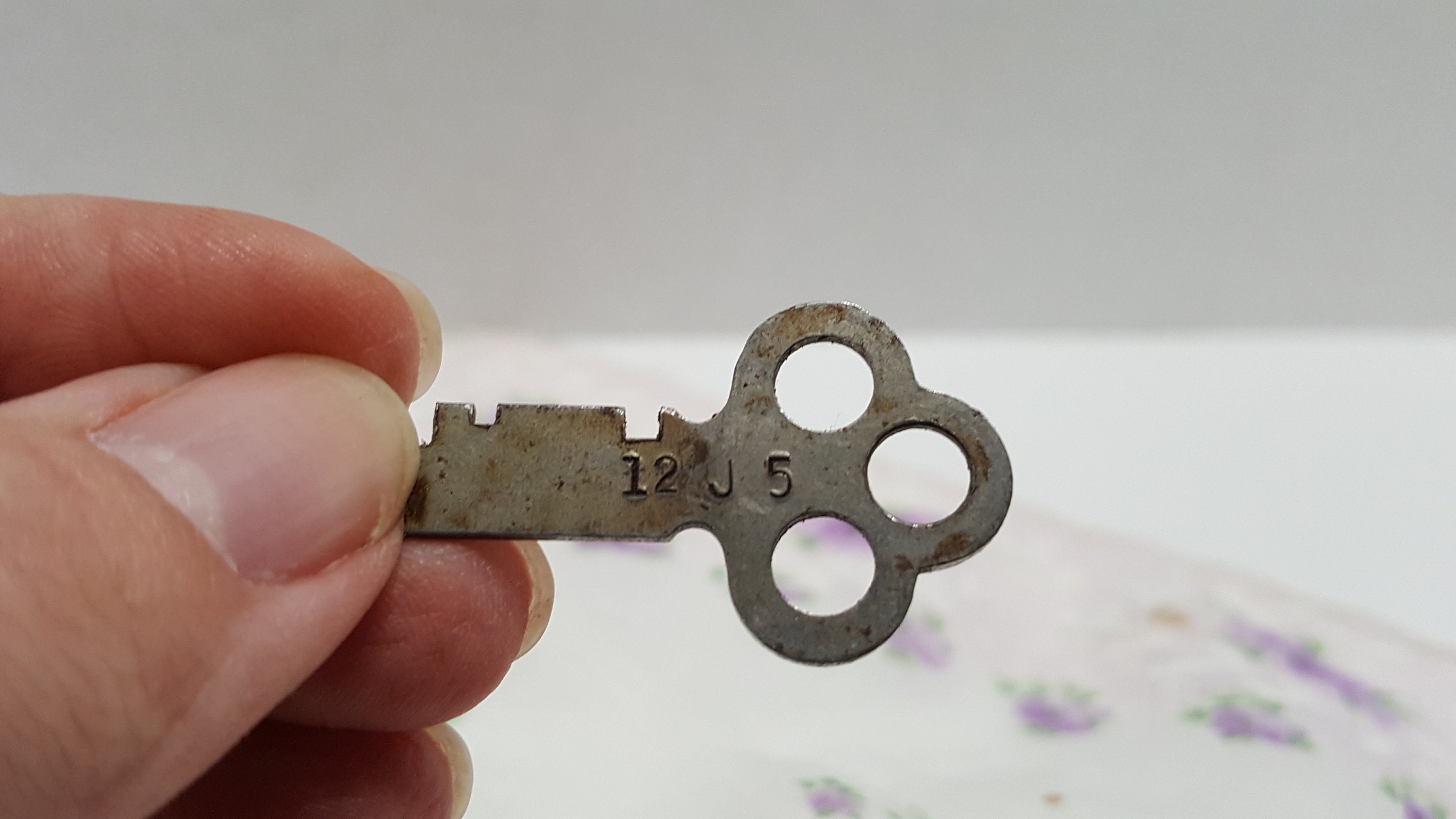 5 Antique Flat Metal Skeleton Keys