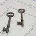 2 Antique Long Metal Skeleton Keys - Etsy