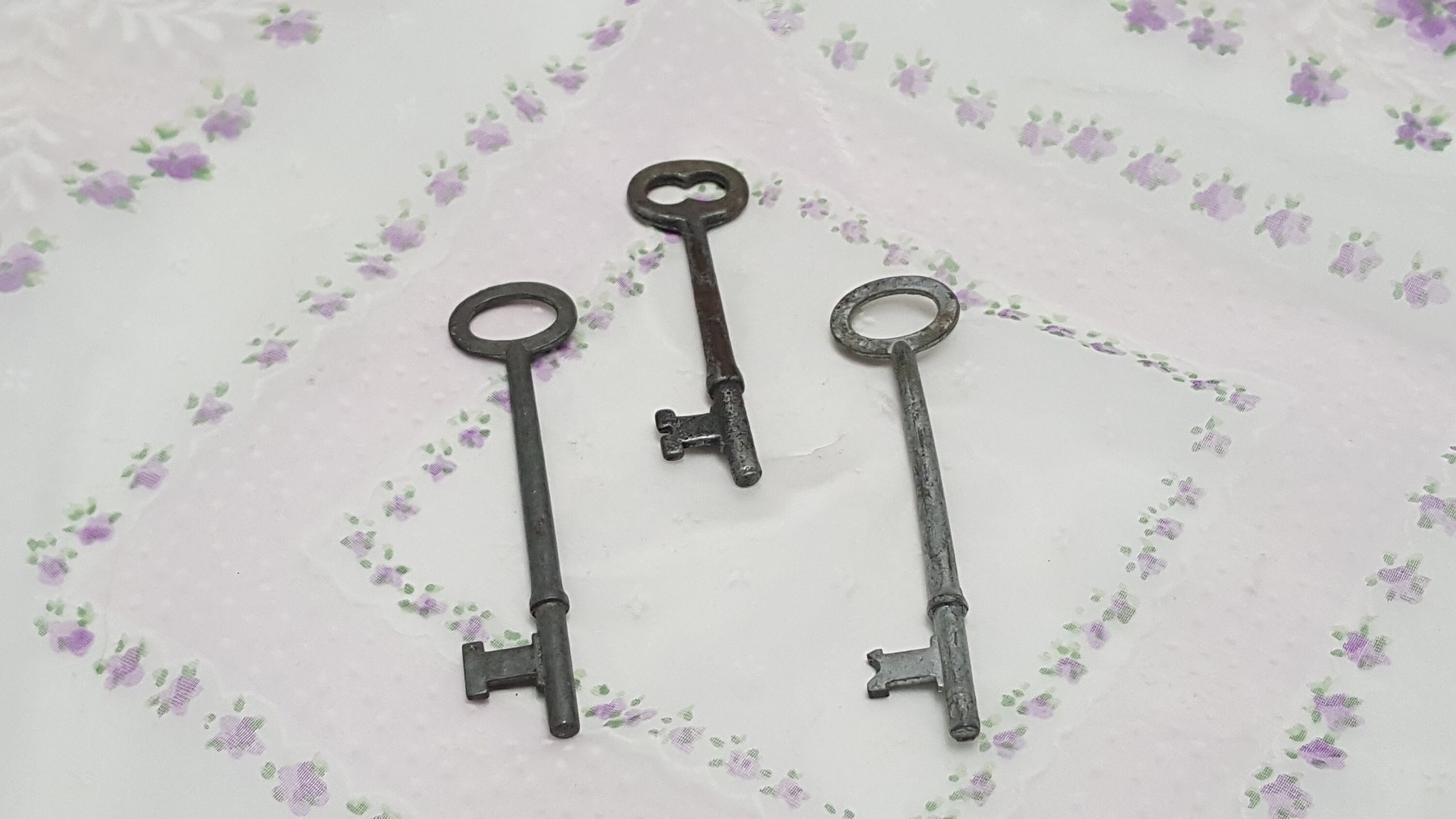 3 Antique Long Metal Skeleton Keys