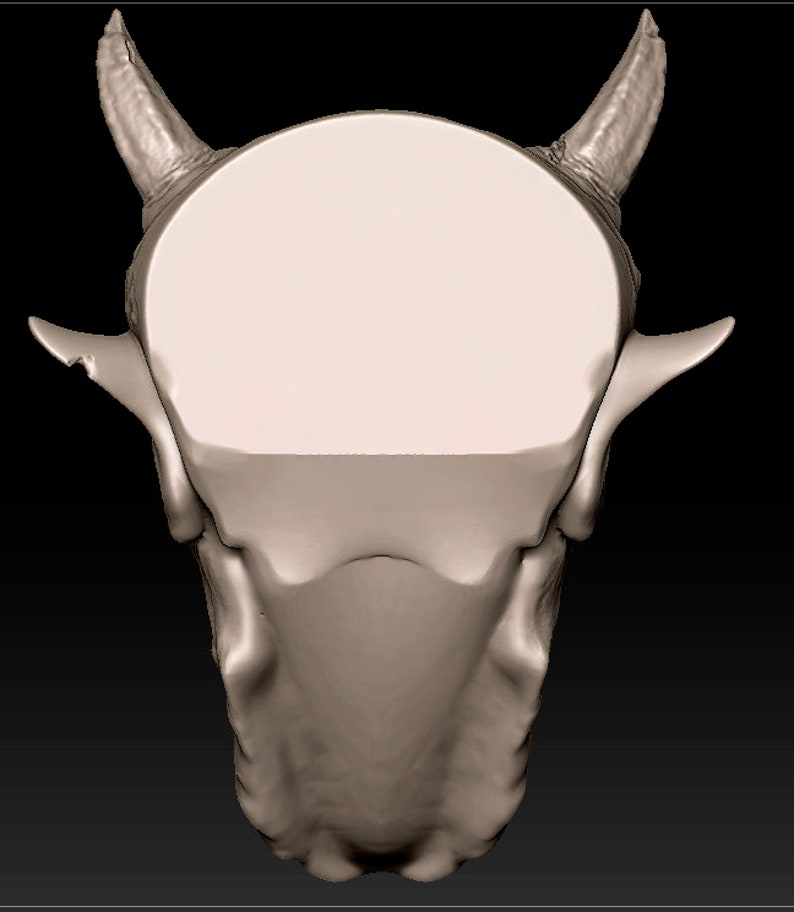 3D STL File Skull to Print. No Físico. Archivo Digital. - Etsy