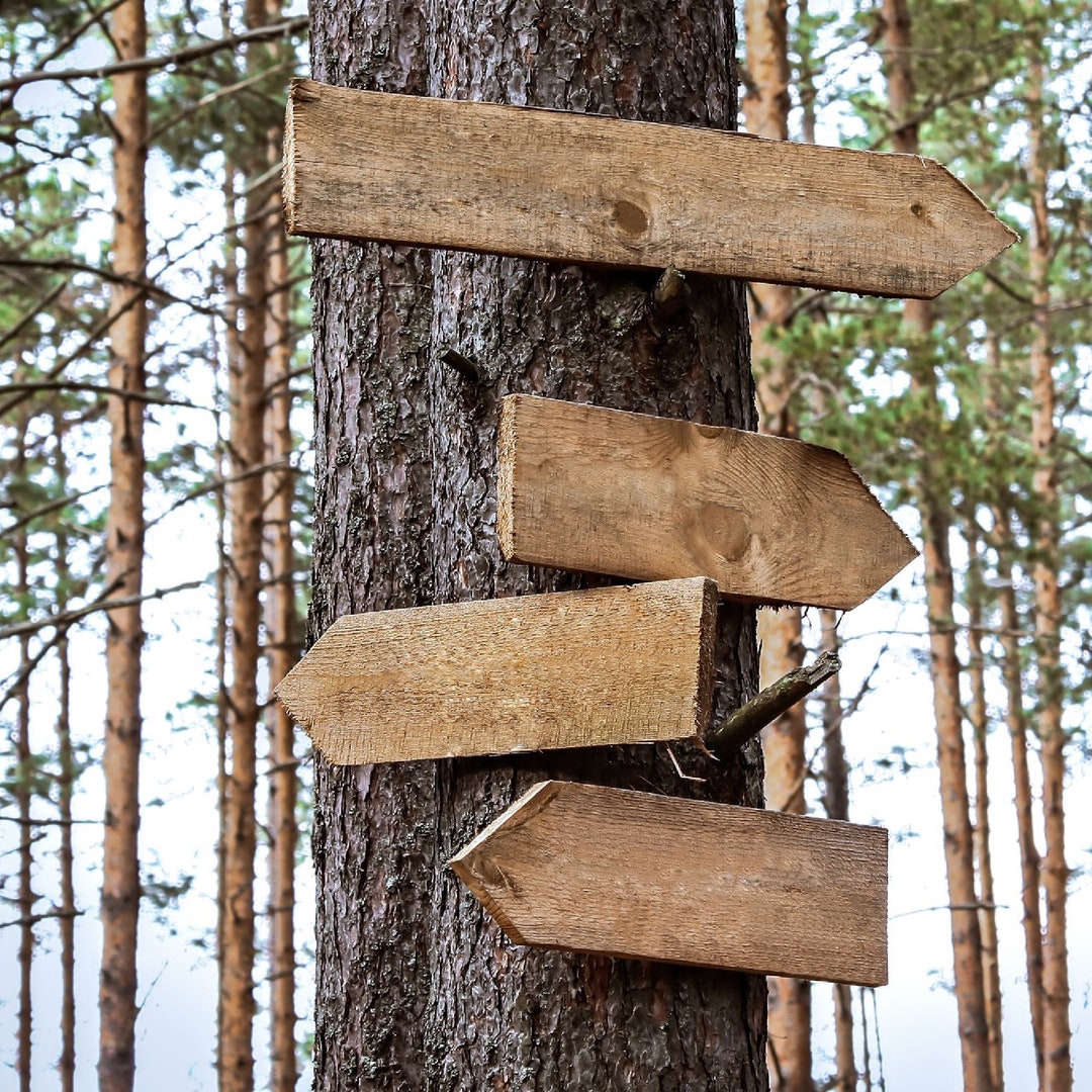 DIY Directional Wood Arrows for Wedding, Paint at Home, Great as a Gift ...