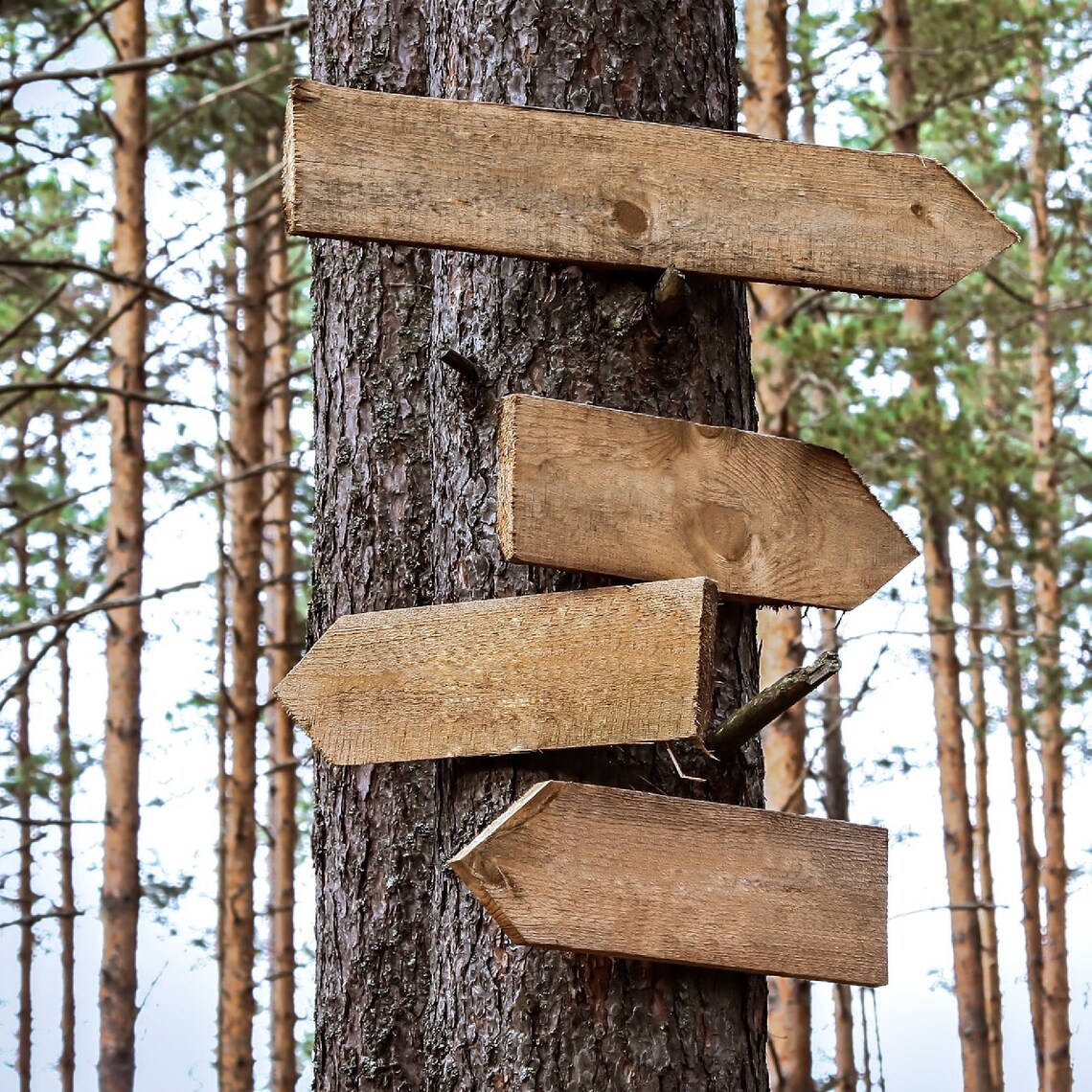 DIY Directional Wood Arrows for Wedding Paint at Home Great - Etsy
