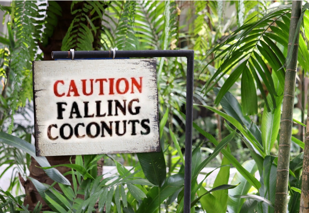 Tropical Beachy Caution Falling Coconuts Tiki Sign, Beach Sign, Coastal ...