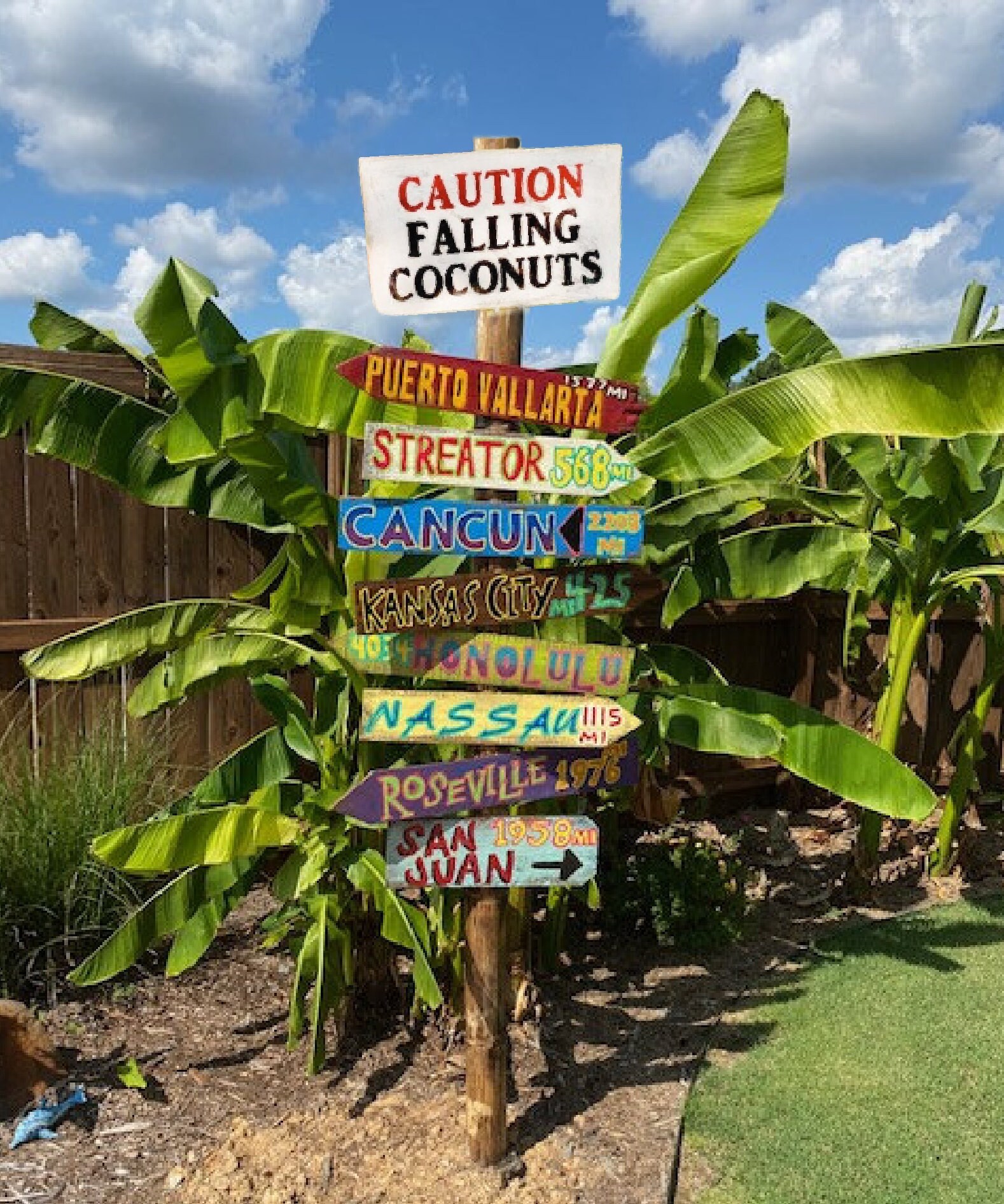 Tropical Beachy Caution Falling Coconuts Tiki Sign, Beach Sign, Coastal ...