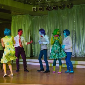 Inside Out Cartoon Cosplay Costumes for Custom Order - Etsy