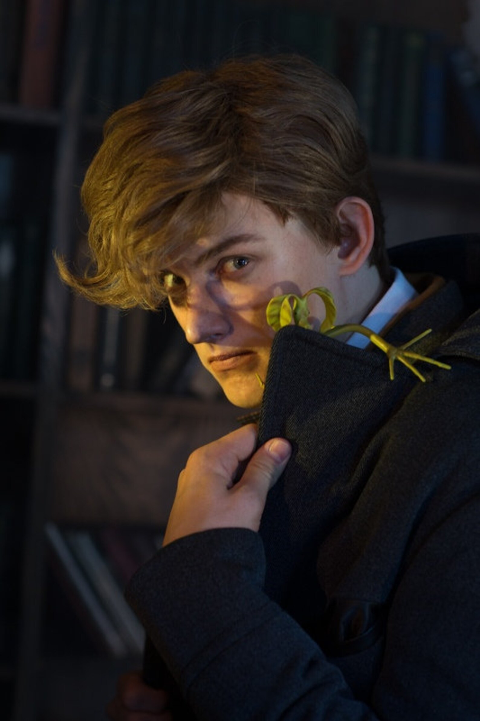 Scamander Beasts Cosplay Costume - Etsy