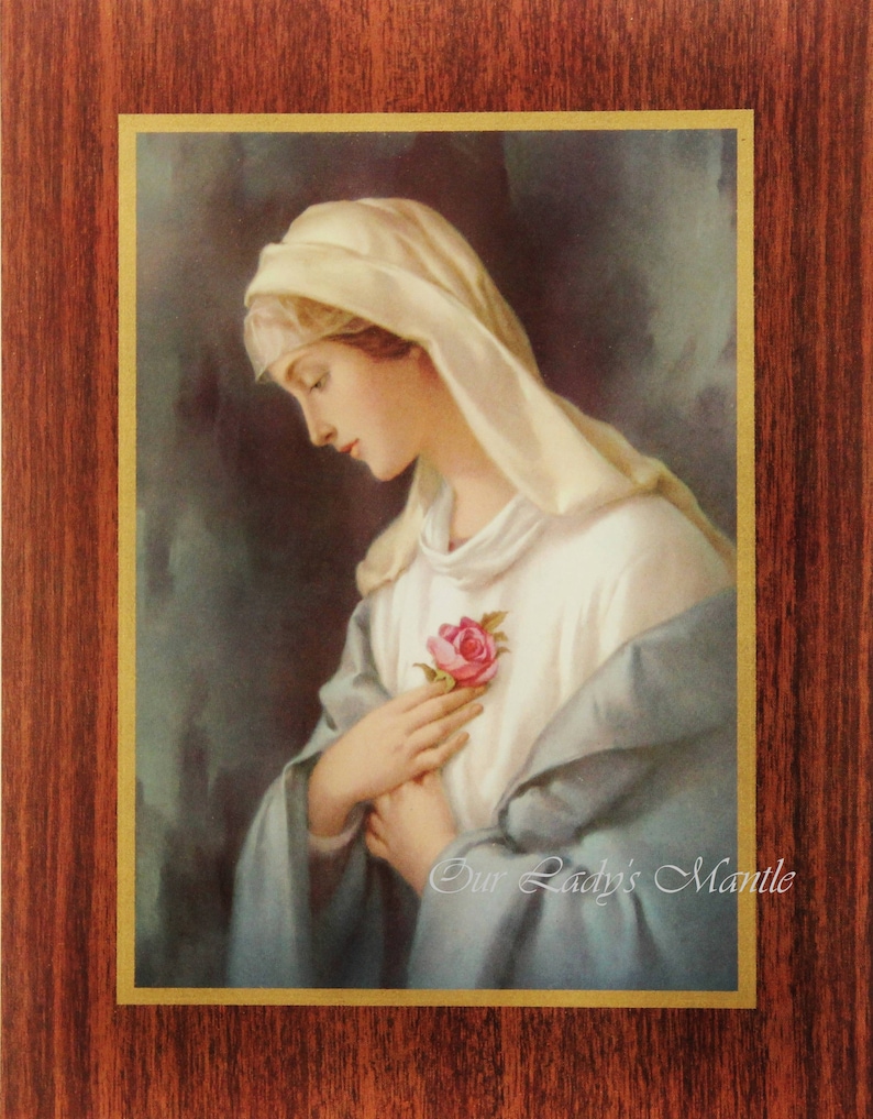 Virgin Mary Mystical Rose Rosa Mystica 7x9 - Etsy