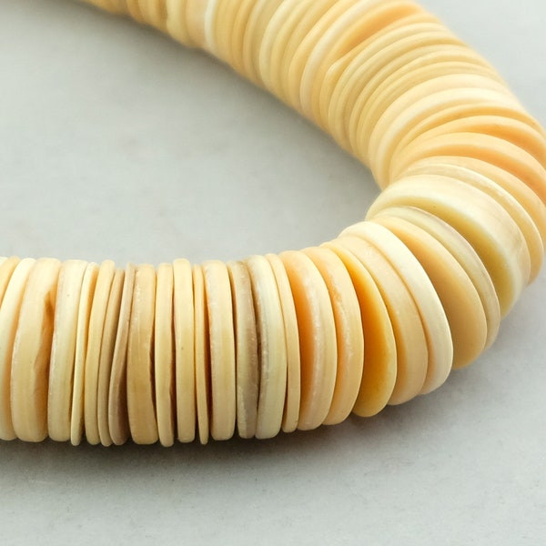 Shell Disc Beads - Etsy