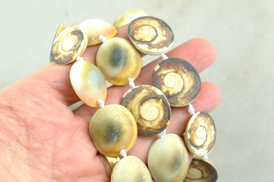 Natural Cat’s Eye Shell Beads. Raw Shiva Eye Beads. Operculum Shell ...