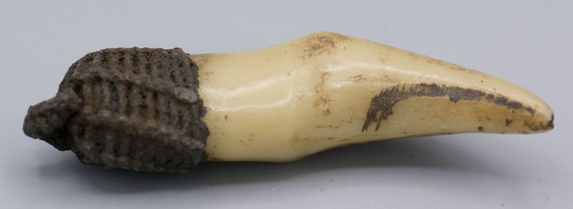 Bone Tusk Pendant Resin Bone With Macrame Top SKU-PEN-10 | Etsy