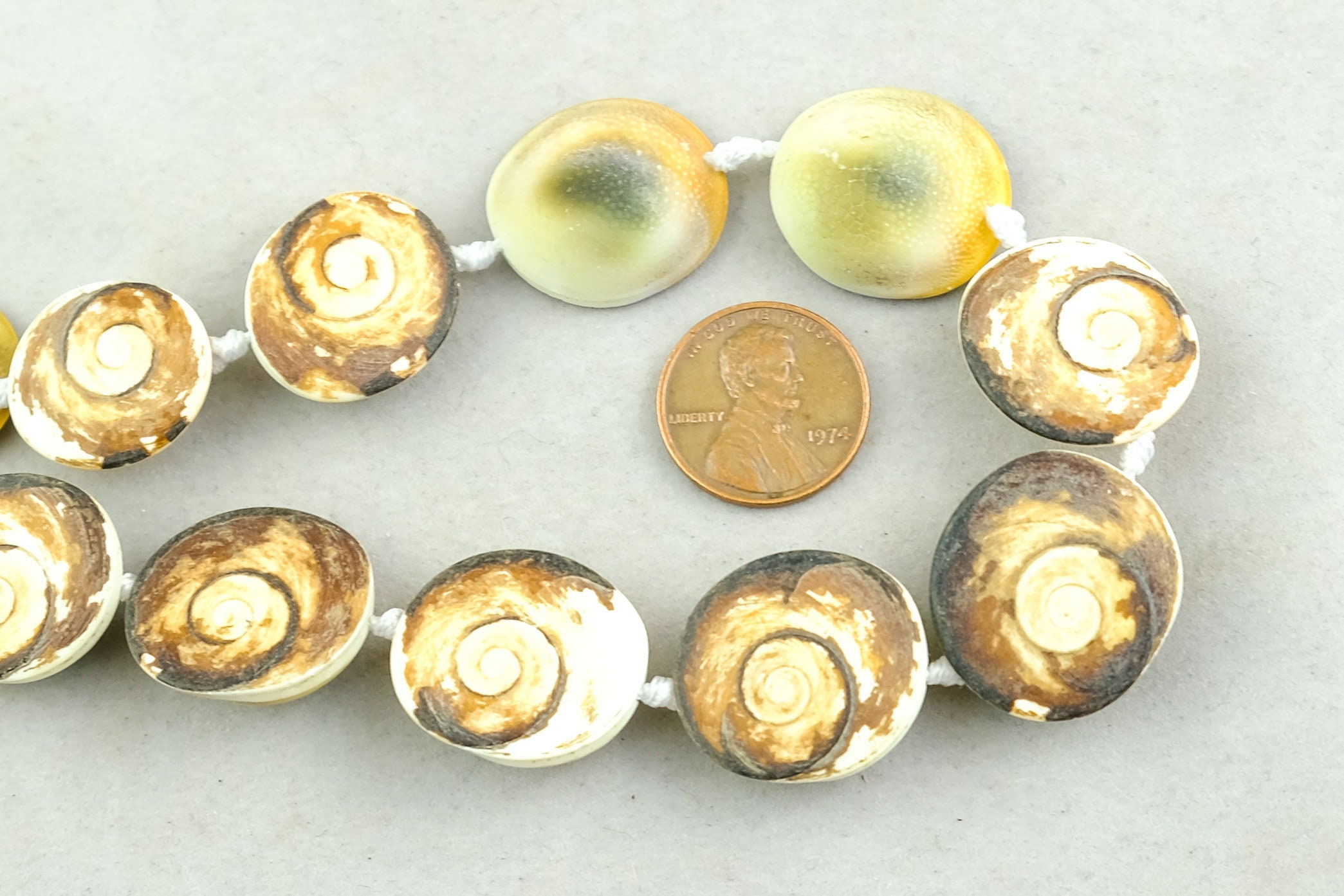 Natural Cat’s Eye Shell Beads. Raw Shiva Eye Beads. Operculum Shell ...