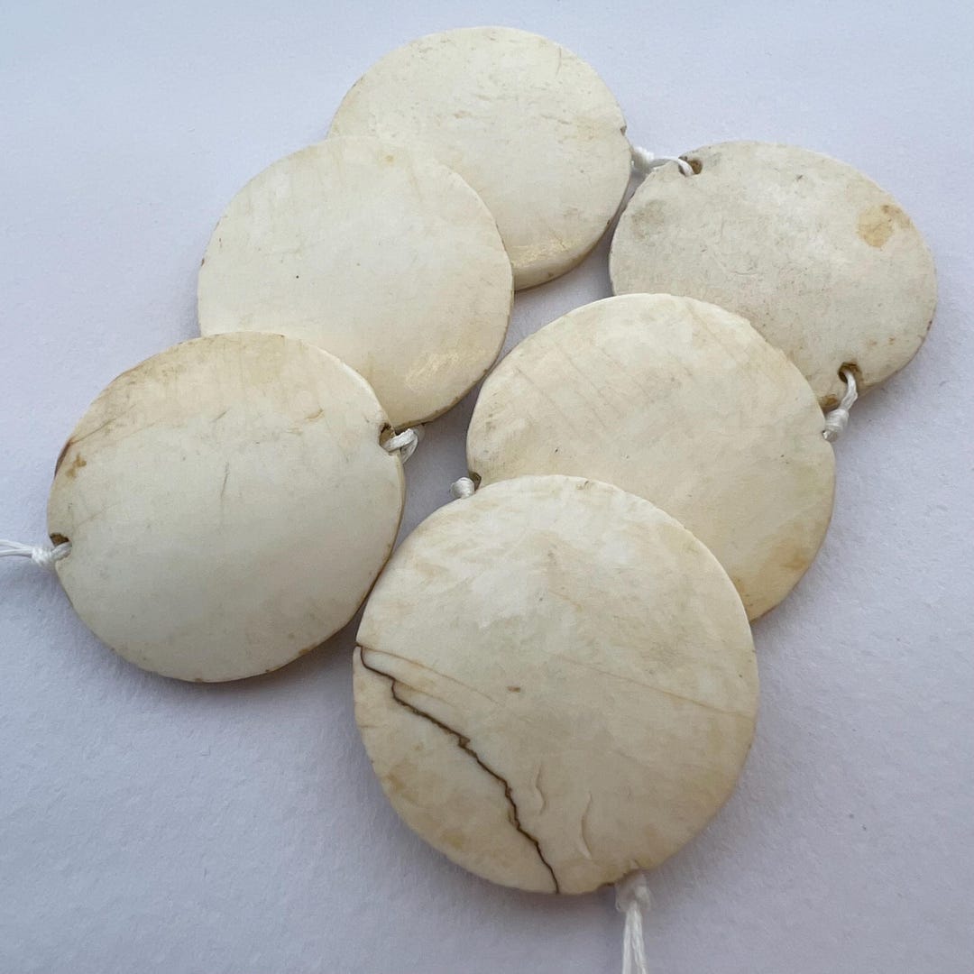 6 Antique Naga Conch Shell Button Beads. TB-4918 - Etsy