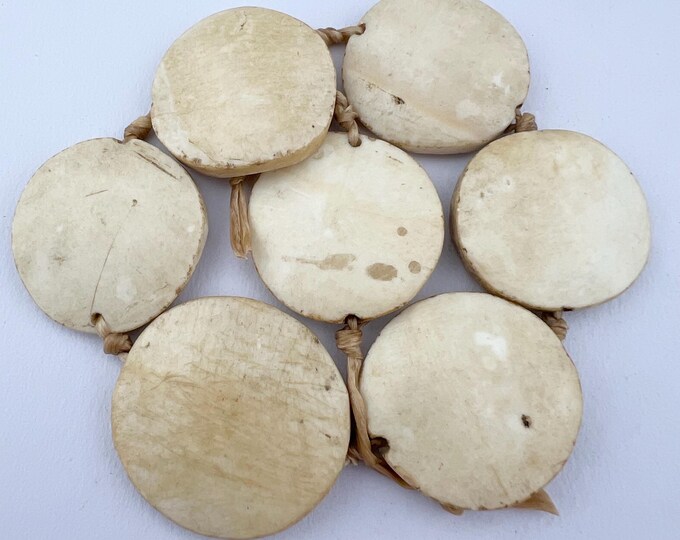 7 Antique Naga Conch Shell Button Beads. TB-6109 - Etsy