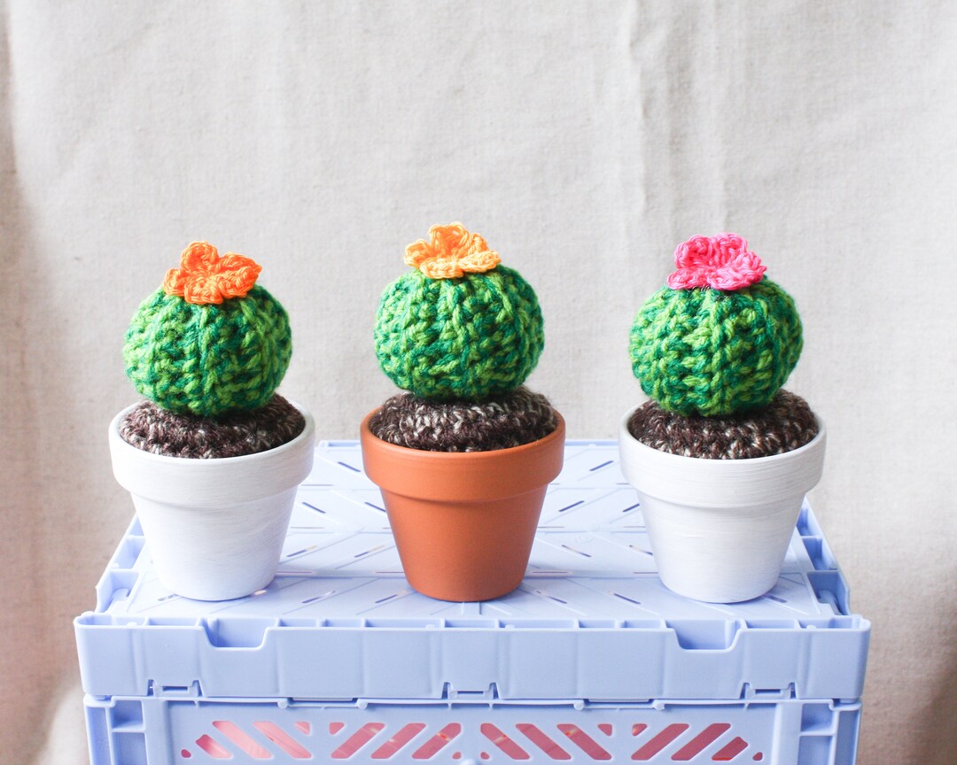 Crochet Cactus Mini - Etsy