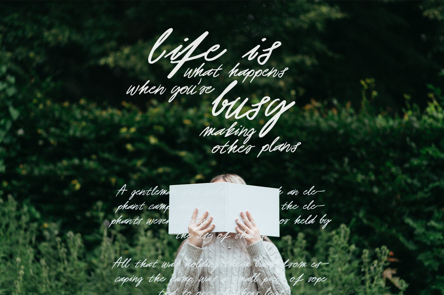 Alexander Font - Handwritten Signature Script Font, Cursive Font, - Etsy