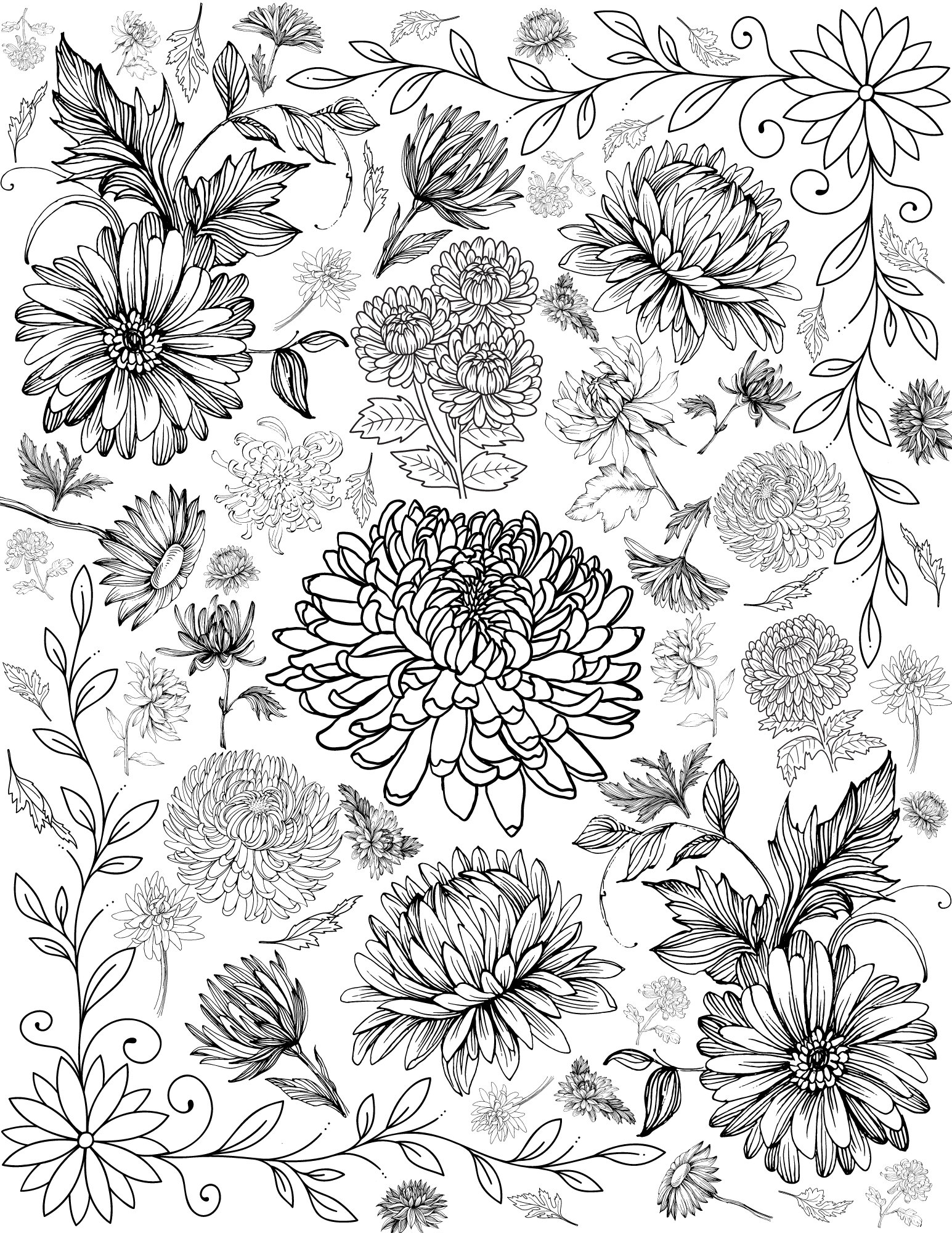 Mum Coloring Page Fall Digital Printable Thanksgiving Autumn Flower ...