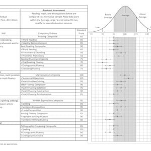 WIAT-4 Chart - for PC Excel - Etsy