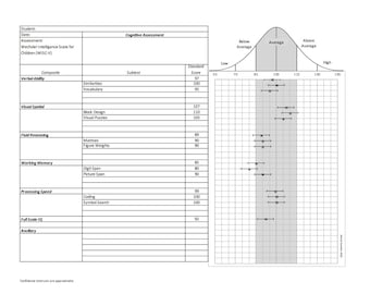 WISC-V Chart for PC Excel | Etsy UK